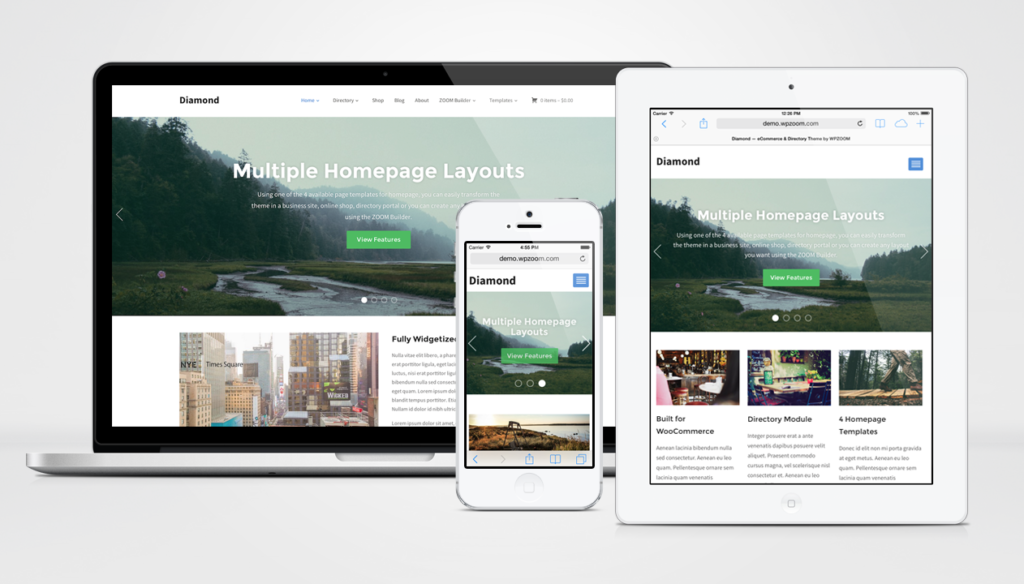 Diamond Theme For Business Owners / ECommerce / Directory Portal