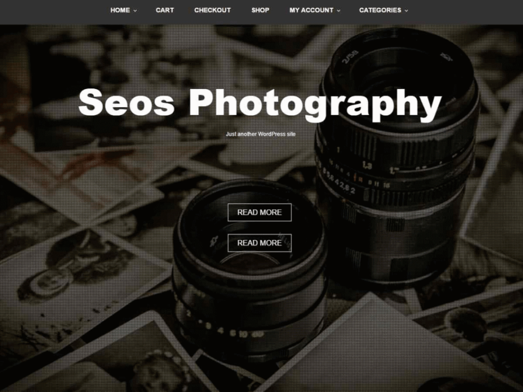 10 Best Free WordPress Photography Themes For Photographers