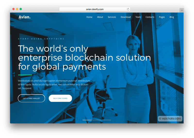 10 Best Bitcoin & Cryptocurrency WordPress Theme For ICO, Blockchain