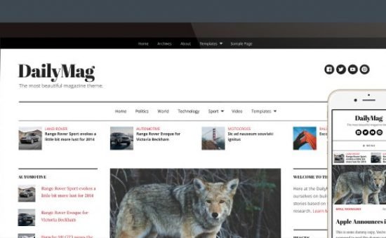 DailyMag WordPress Magazine Theme like CNN, New York Times