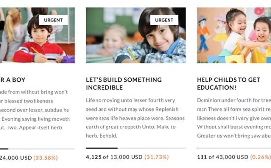 Charity WordPress Theme for Nonprofit Organization Websites